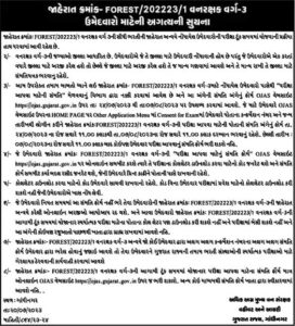 OJAS Gujarat Forest Guard Consent Form 2024: Apply Online Sammati Patra @ojas.gujarat.gov.in